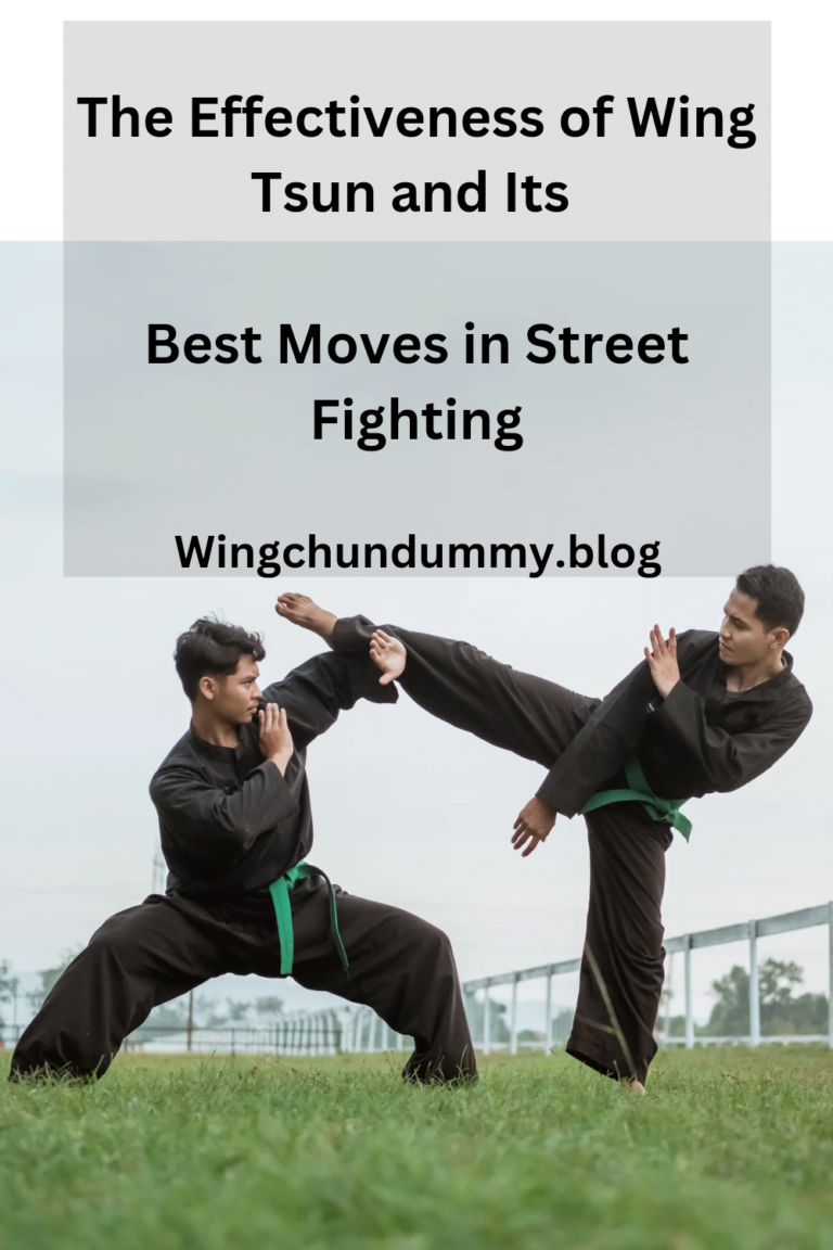Wing Tsun and Its Best Moves in Street Fighting