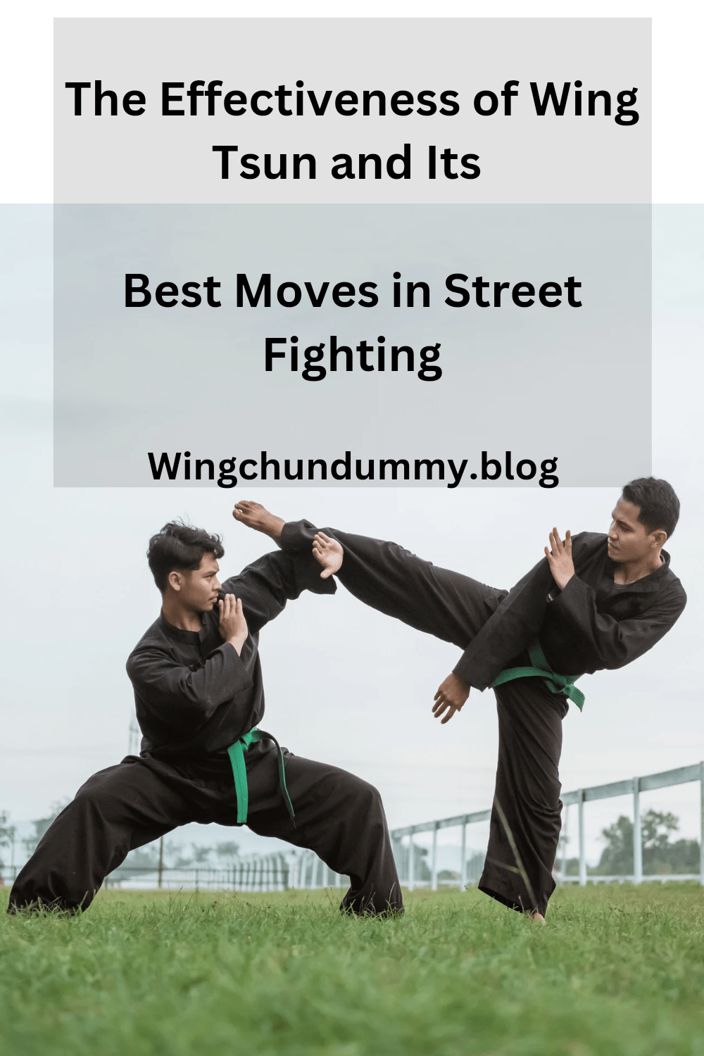 Wing Tsun and Its Best Moves in Street Fighting
