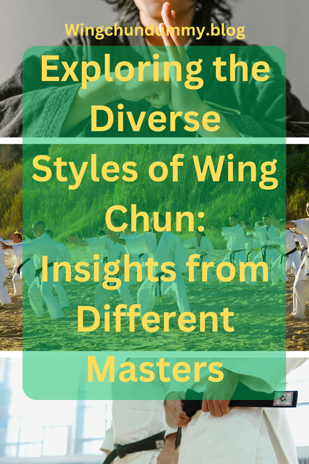 Diverse Styles of Wing Chun History : from Different Masters