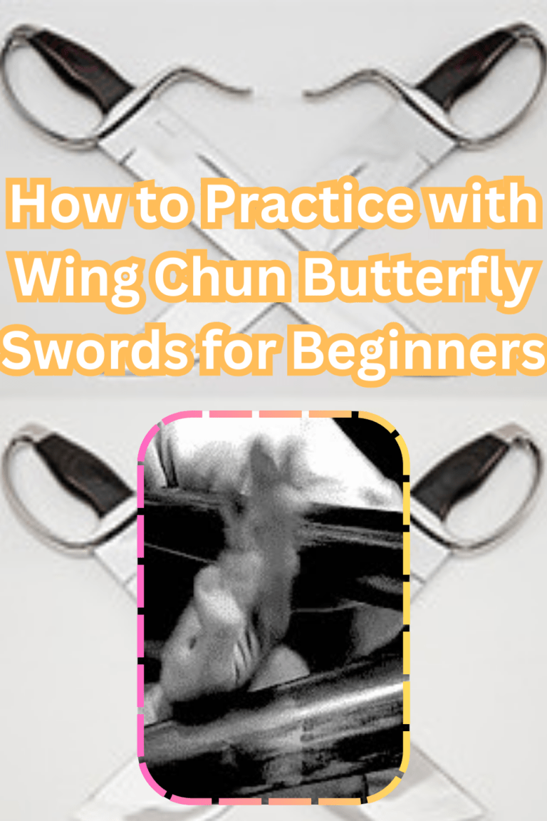 Wing Chun Butterfly Swords for Beginners