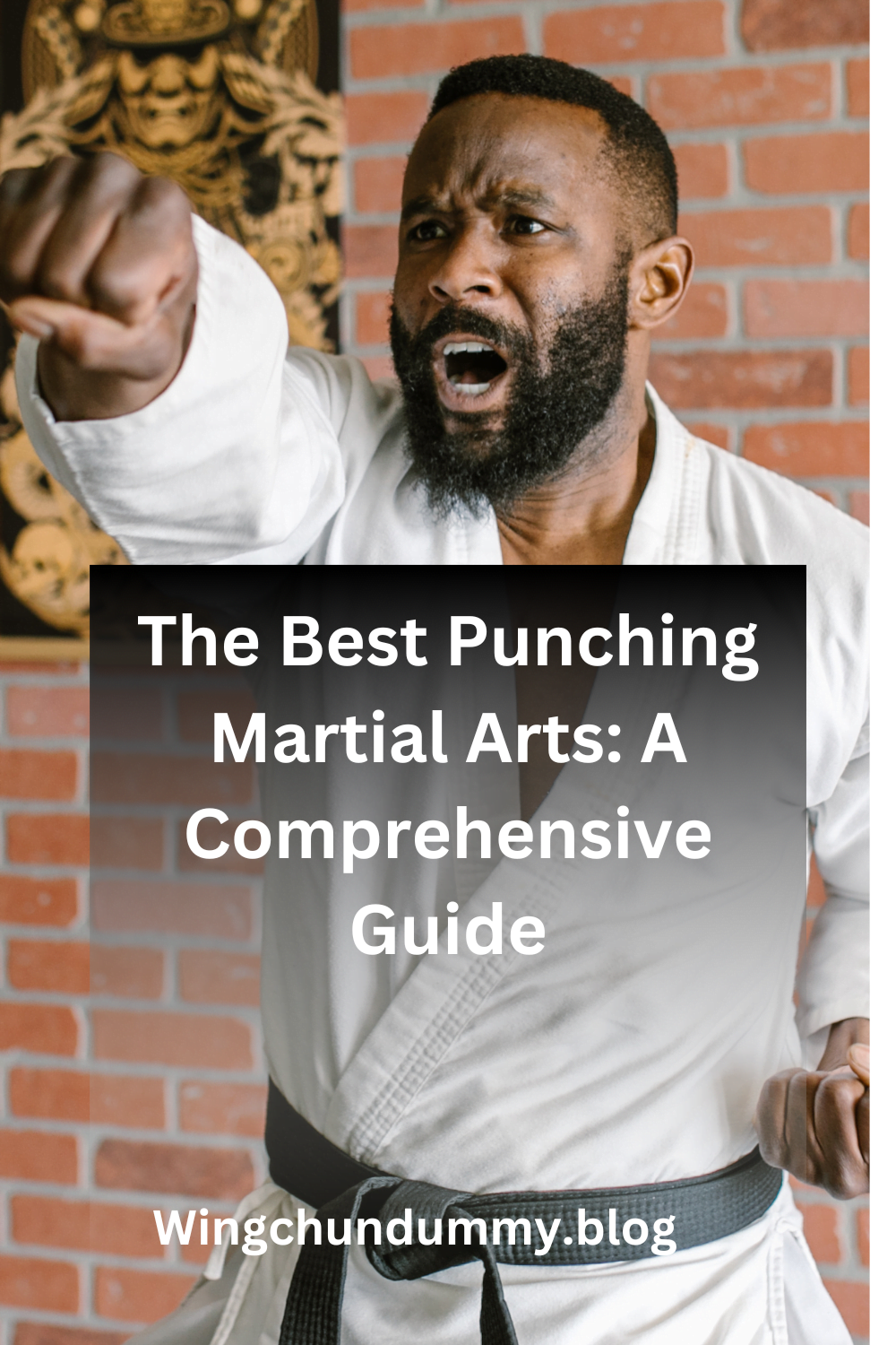 The Best Punching Martial Arts: A Comprehensive Guide