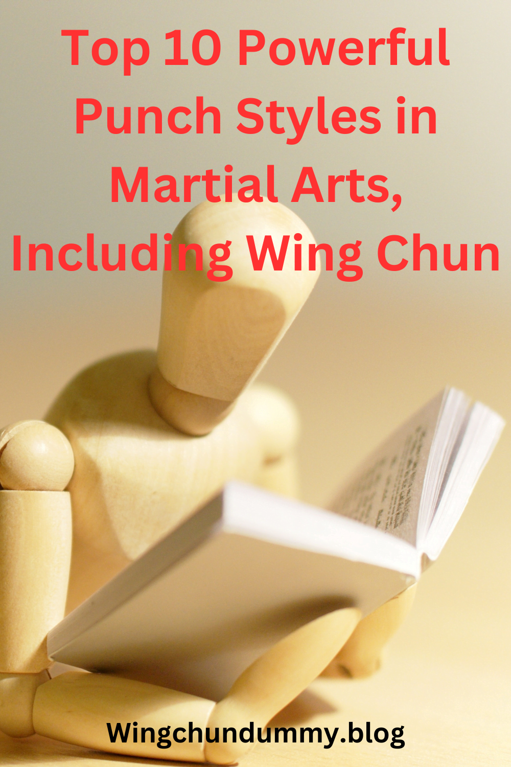 Top 10 Powerful Martial Arts Punches Including Wing Chun