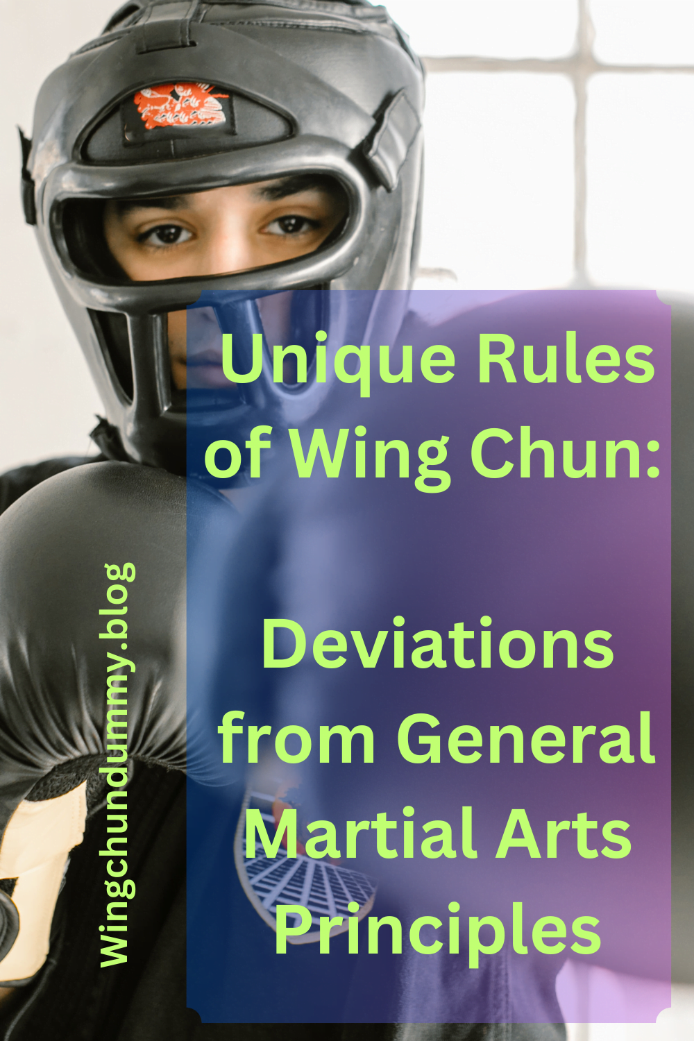 Unique Rules of Wing Chun VS General Martial Arts Principles