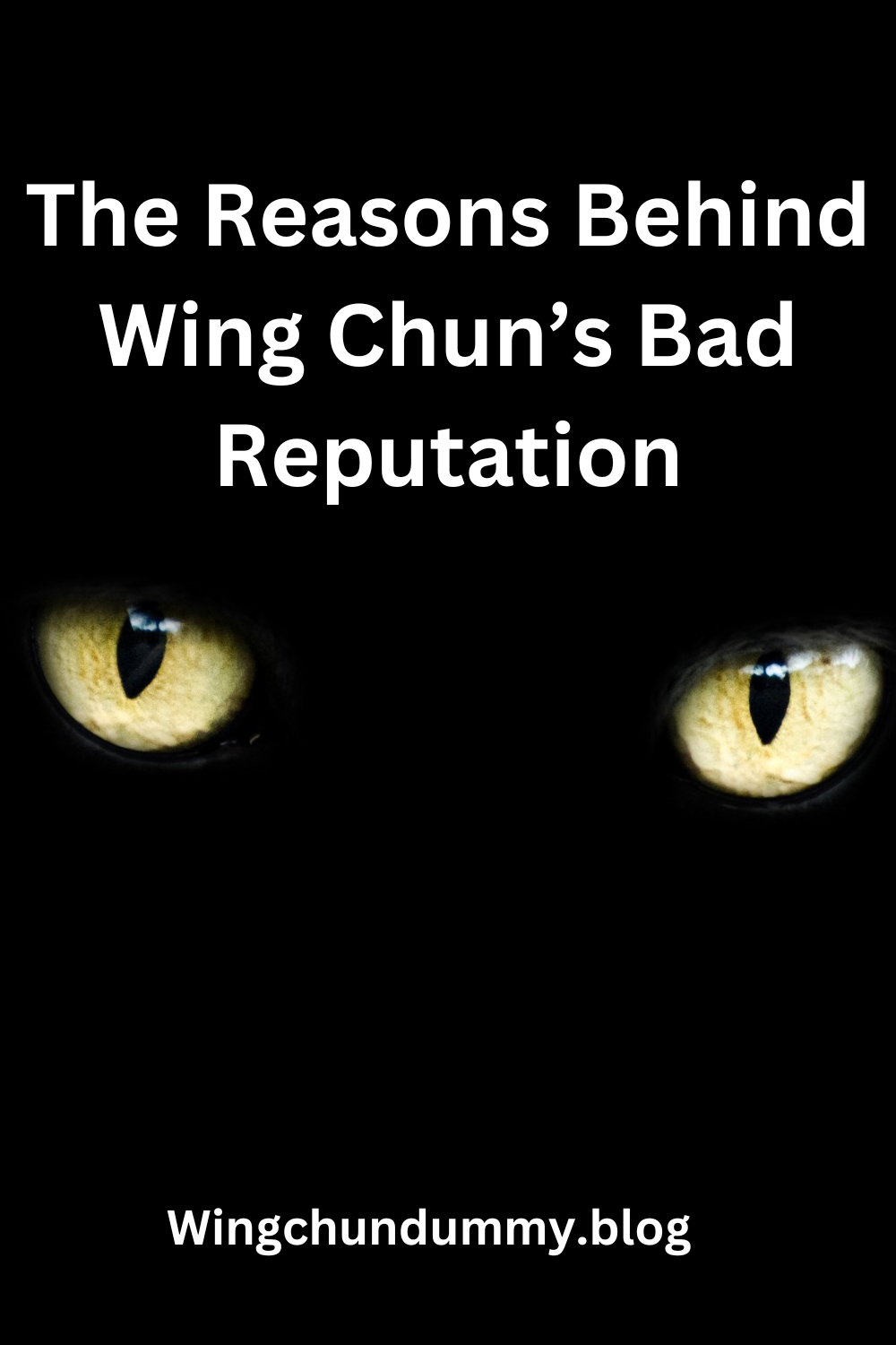 The Reasons Behind Wing Chun’s Bad Reputation